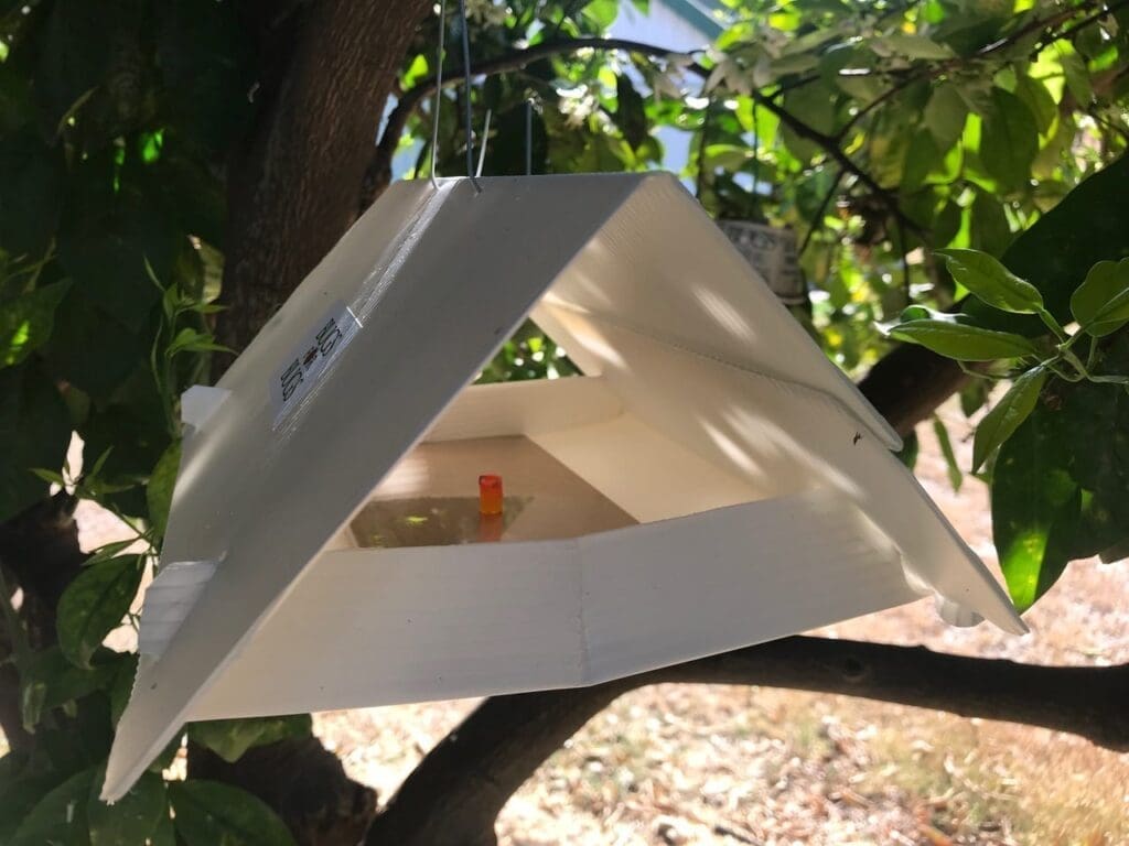 Delta trap kit | Bugs For Bugs